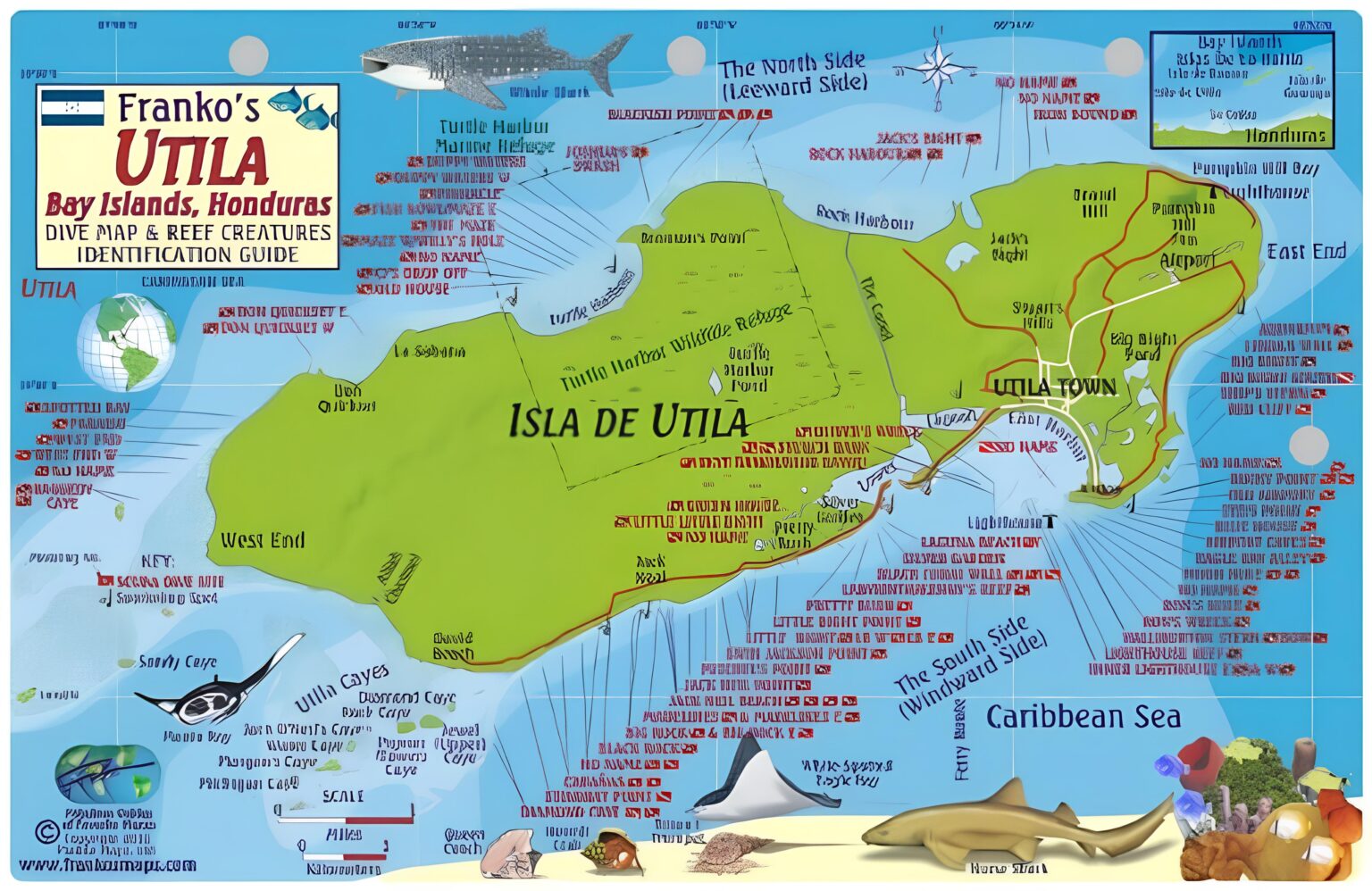 Útila Honduras : Mergulhandoée sob-Marinho, fauna marinha e paisagens ...